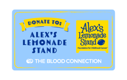 The Blood Connection - Donor Portal