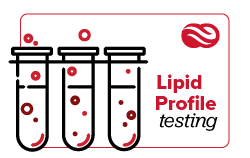 The Blood Connection - Donor Portal