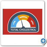 The Blood Connection - Donor Portal